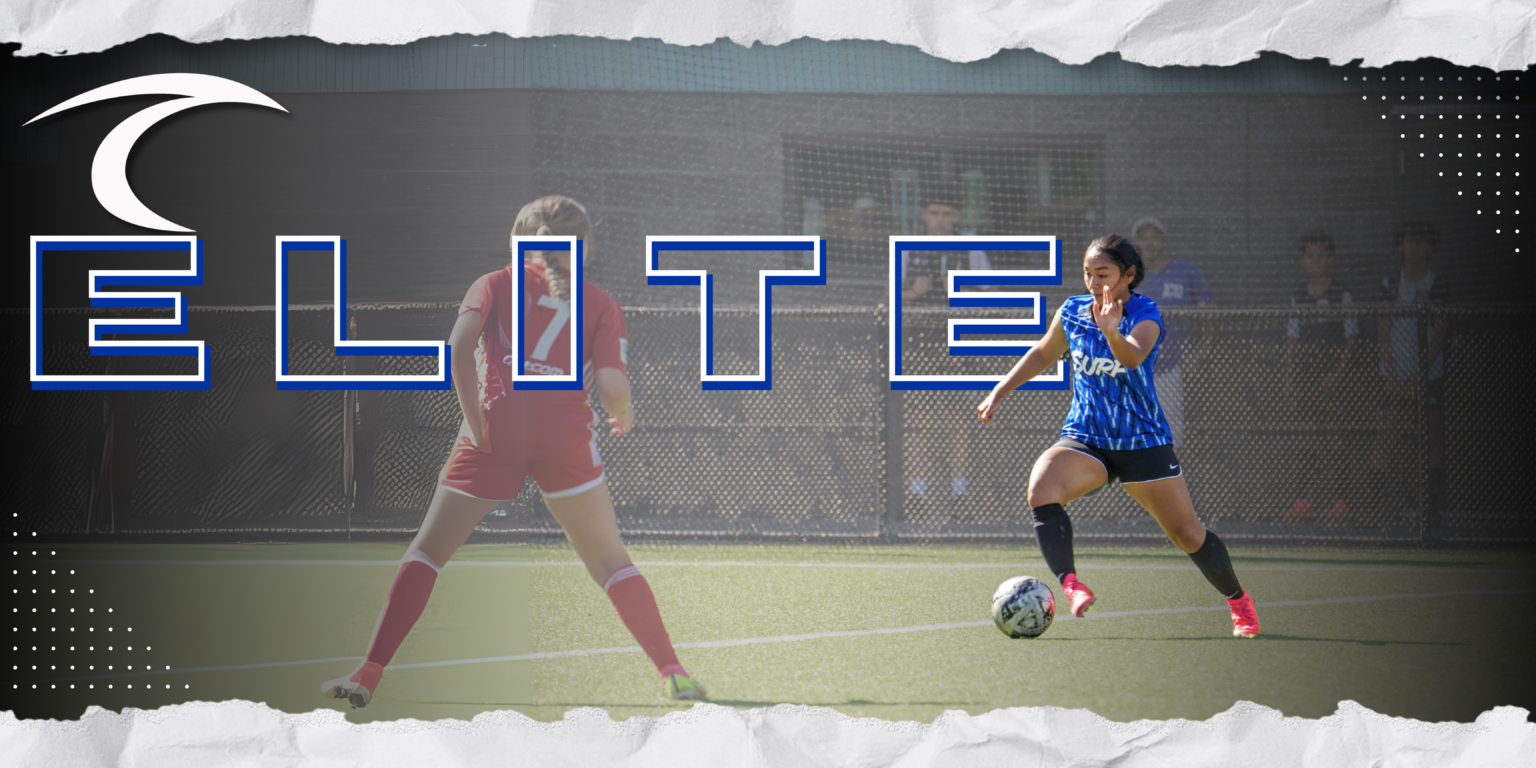 ELITE - Always Rising.Always Surf.
